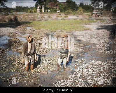 Tonkin, Indochina Spreading freshwater bindweed and fishing for ...
