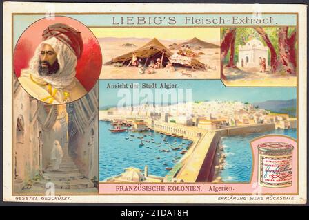 Vintage Liebig Trade Card S951 French Colonies - French Indo-China ...