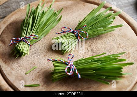 Three bundles of fresh young green barley grass blades on a table ...
