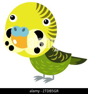 Cartoon australian animal bird parrot on white background illustration ...