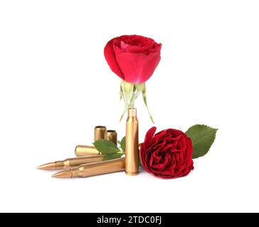 Bullets and cartridge cases with beautiful rose flowers isolated on ...