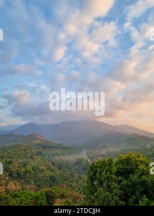 Landscape view of a Mount Wilis and forest tree, East Java, Indonesia ...