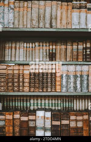 Library Book Academia University Reading Stock Photo - Alamy