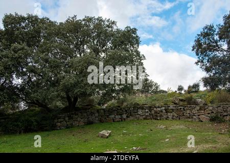 Hand-laid granite dry stone wall considered a world heritage site in a ...