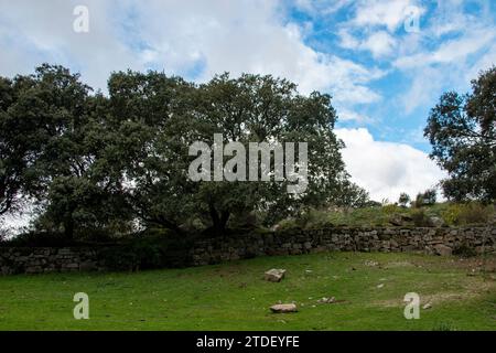 Hand-laid granite dry stone wall considered a world heritage site in a ...