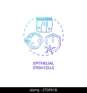 Thin line simple blue epithelial stem cells icon concept Stock Vector Image & Art - Alamy