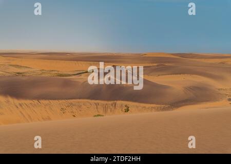 Pink sand dunes, Namibe (Namib) desert, Iona National Park, Namibe, Angola, Africa Stock Photo ...
