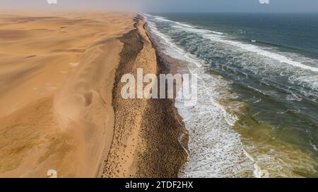 Aerial of massive numbers of Cormorants on the sand dunes along the Atlantic coast, Namibe ...