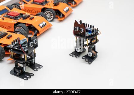 Craft for robotics class. Robot car made from LEGO construction kits ...