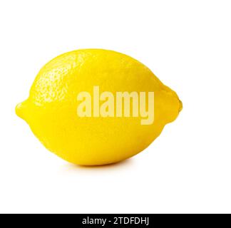 Organic Lemonade fruit (citrus limon x reticulata) with a discoloured ...
