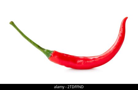 Isolated pepper. One curved red pepper isolated on white background ...