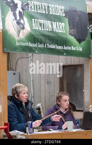 Sale of commerciial beef cattle at Pateley Bridge auction mart in the ...
