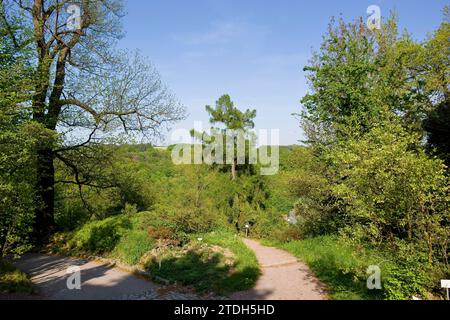 Tharandt Forest Botanical Garden of the TU Dresden Stock Photo - Alamy