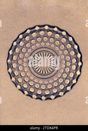 Cyanotype photogram of 1940s Anchor Hocking glass plates, scanned and ...