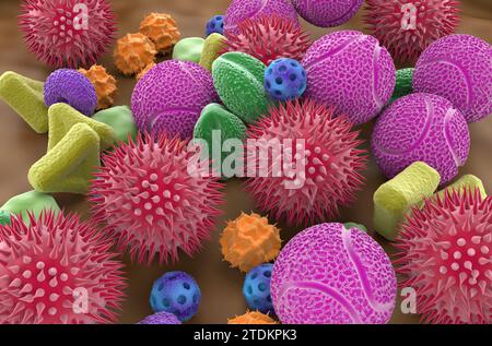 Grass pollen grains - isometric view 3d illustration Stock Photo - Alamy