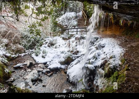 Maspie Den waterfall in Falkland Estate Fife Scotland Stock Photo - Alamy