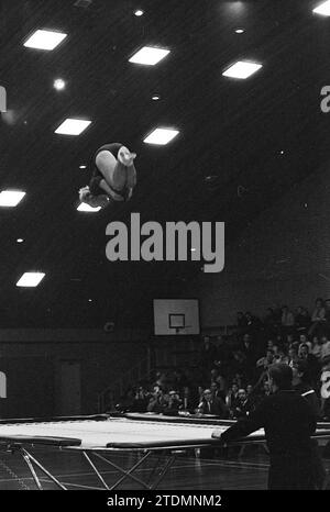 World Camp. trampolining gymnastics, Whizgle News, Dutch Desk, The ...