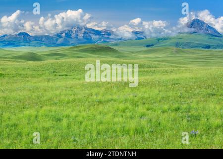 prairie below haystack butte and steamboat mountain near augusta ...
