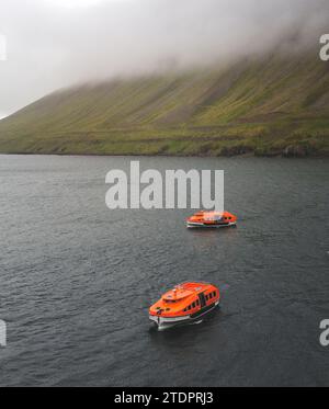 Nordfjord, Norway - 29th June 2022: Sky Princess tender No.16h Stock ...