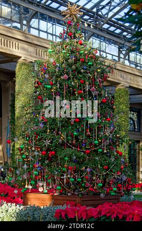 large decorated evergreen tree; elaborate Christmas display; glass ...
