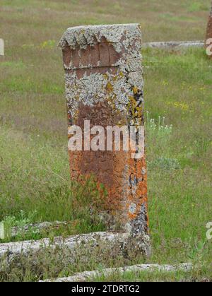 Ahlat Museum in Bitlis, Turkey Stock Photo - Alamy