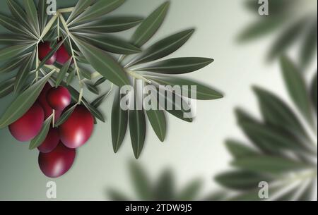 Olive tree with green leaves. Tree with black olives Stock Vector Image ...