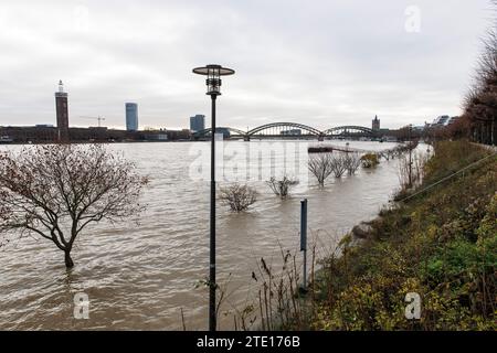 Cologne, Germany, December 16th. 2023, flood of the river Rhine ...