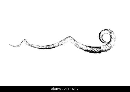 Crayon charcoal Swoosh and swoop underline typography tail shape. Brush ...
