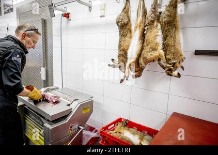 ROTTERDAM - Employees of a poulterer process orders the day before ...
