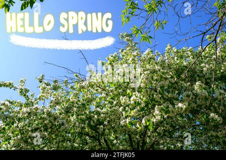 Hello, spring, the sunlight breaking through the crowns of the trees ...
