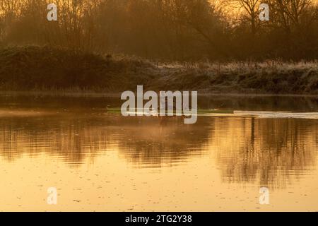 Rower on a frosty morning on the River Trent, at Colwick Park in ...