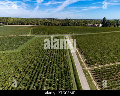 Aerial view on Pomerol village, production of red Bordeaux wine, Merlot ...