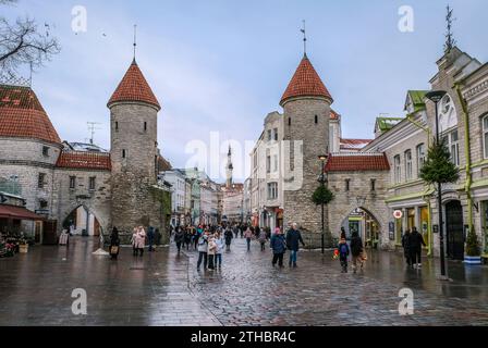 Stadtmauer, Stadtturm, Altstadt, Tallinn, Estland *** City wall, city ...