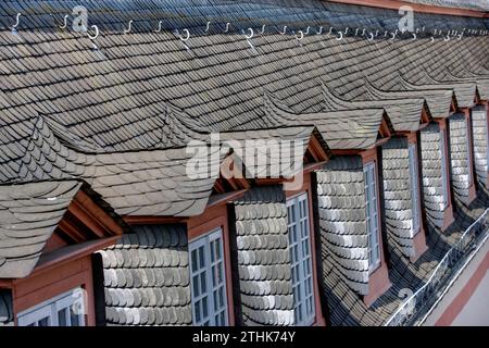 Slate roof with dormer windows, Weilburg Castle, Weilburg, Hesse ...