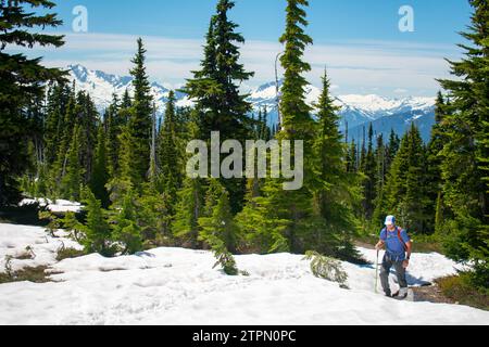 A hiker follows the snowy Panorama Ridge Trail, with the stunning ...