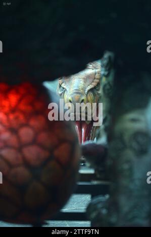 PAUTE-PARQUE JURASICO Cuenca,Ecuador 20 de diciembre de 2023 Paute ...