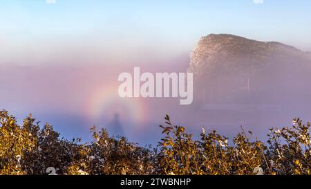 CHONGQING, CHINA - DECEMBER 20, 2023 - A sea of clouds is seen after ...