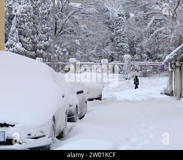 YANTAI, CHINA - DECEMBER 21, 2023 - People walk on the streets brave ...