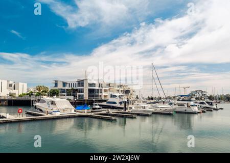 Adelaide, Australia. 15 January 2023 . Australian rainbow lorikeets ...