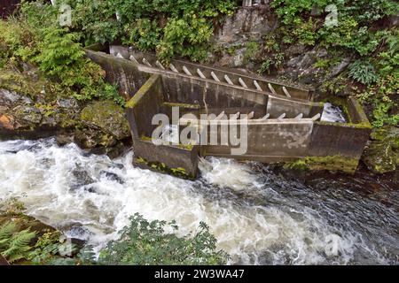 Ketchikan Creek Falls, Pacific salmon 'Oncorhynchus' fish ladder ...