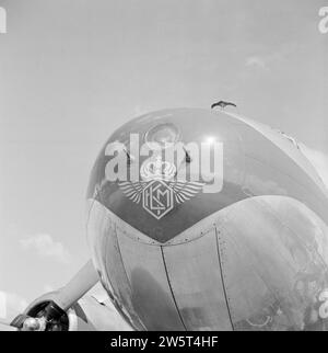The nose of a KLM Convair 240 with the KLM emblem under the searchlight ...