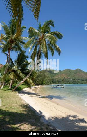 Palm-fringed bay at Anse Possession beach, Praslin Island, Seychelles ...