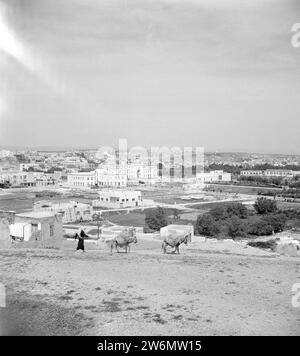 View of Hama from the tell ca. 1950-1955 Stock Photo - Alamy