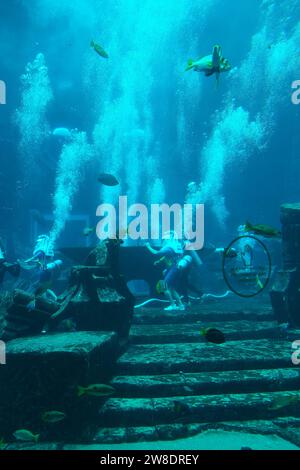 Scuba divers in the Ambassador Lagoon of The Lost Chambers Aquarium at ...