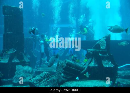 Scuba divers in the Ambassador Lagoon of The Lost Chambers Aquarium at ...
