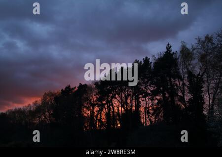 Sunset with line of trees diagonal across picture Stock Photo - Alamy