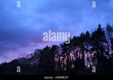 Sunset with line of trees diagonal across picture Stock Photo - Alamy