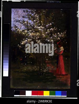 Woman standing by flowering tree] / Percy Ives Stock Photo - Alamy