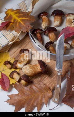 Autumn composition of several Imleria Badia or Boletus badius mushrooms ...
