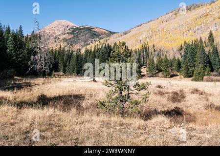 Photograph captured during a backpacking adventure in the Holy Cross ...